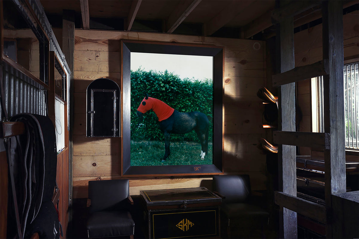 Horse with Red Hood, 1995 – Steven Klein